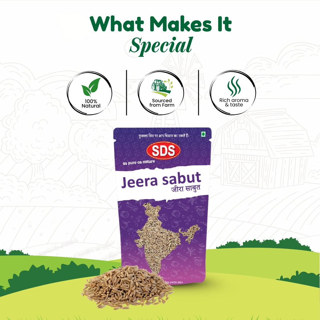 Jeera Spice: Unleash Aromatic Delights by SDS Masala – SDS MASALA